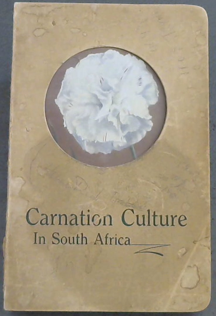 Vegetable Growing In South Africa