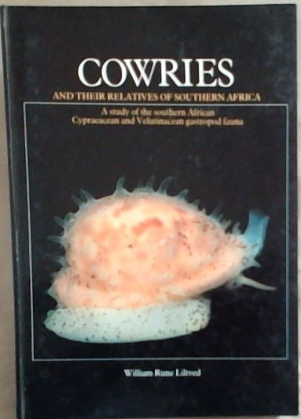 Cowries and Their Relatives of Southern Africa