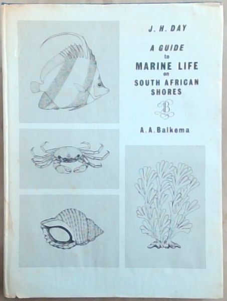 A Guide to Marine Life on South African Shores