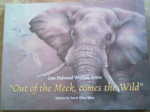 Heavens of Africa : Lisa Halstead Wildlife Artist