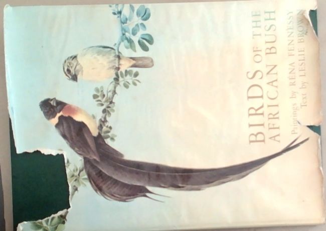 Birds of the African bush