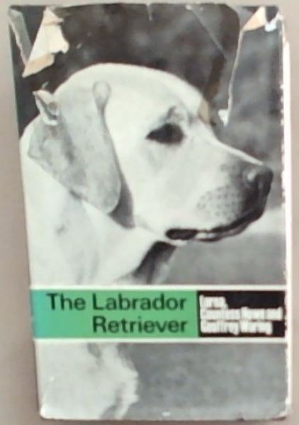 The Labrador Retriever