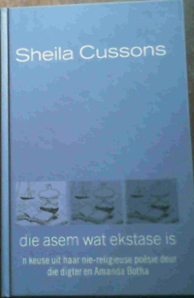 Verf en Vlam